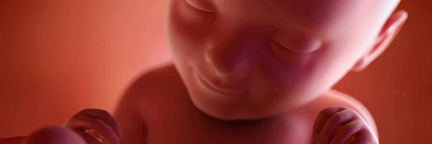 Week 33 - Pregnancy Podcast
